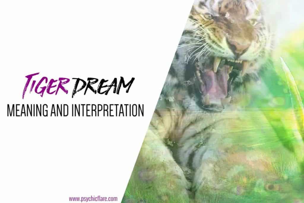 Tigers Dream Meaning & Spiritual Messages Explained