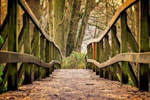Bridge Dream Meaning and Interpretation Explained