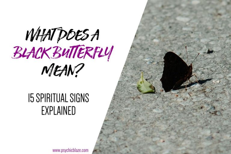 Divine Partner: 6 Signs of Deep Spiritual Connection
