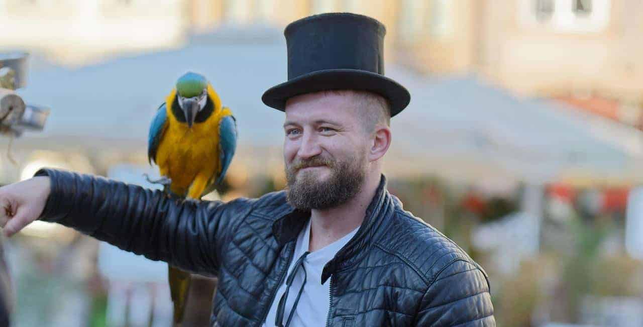 Parrot Dream Meaning & Spiritual Messages Explained
