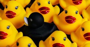 Duck Dream Meaning & Spiritual Messages Explained