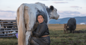 Cow Dream Meaning & Spiritual Messages Explained