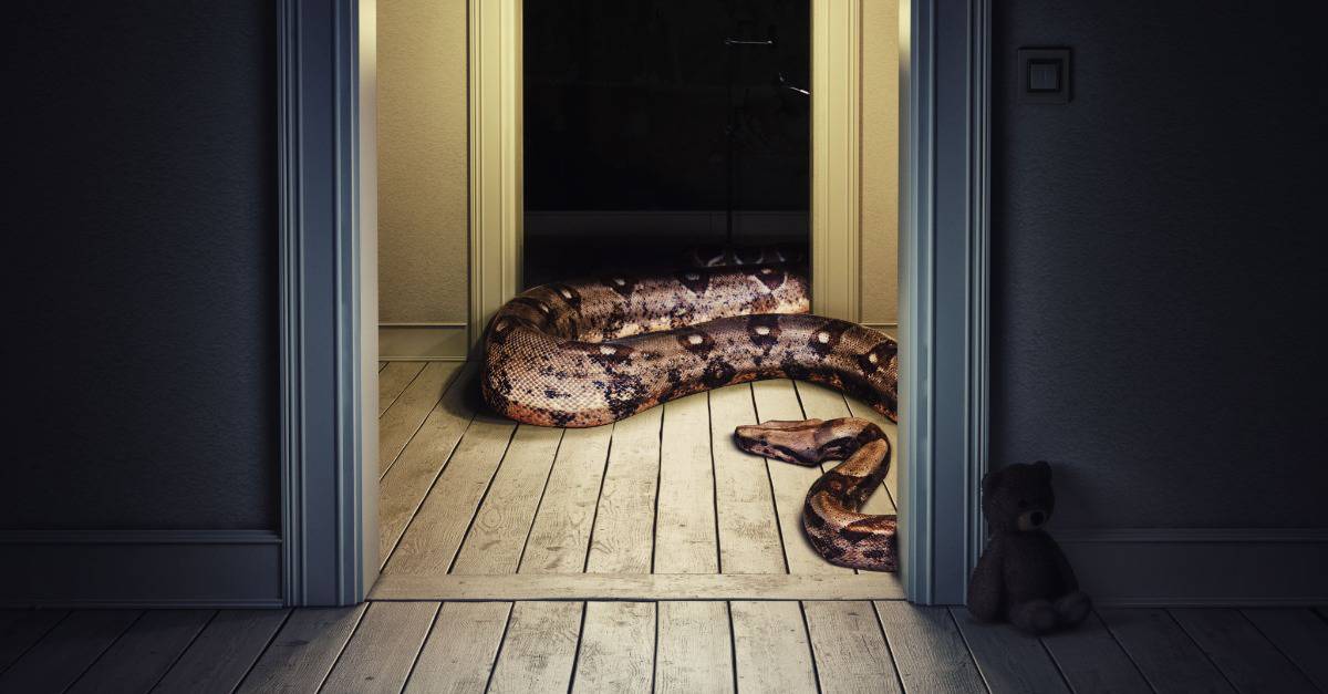 16 Meanings When You Dream About Giant Snakes