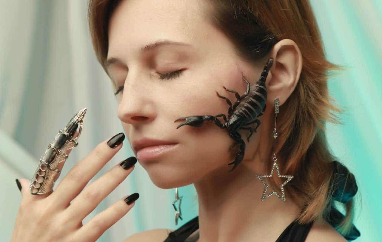 13 Spiritual Biblical Meanings of Scorpion in Dreams