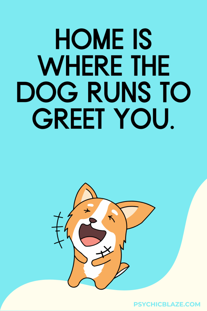 35+ Funny Dog Quotes to Make You Bark with Laughter