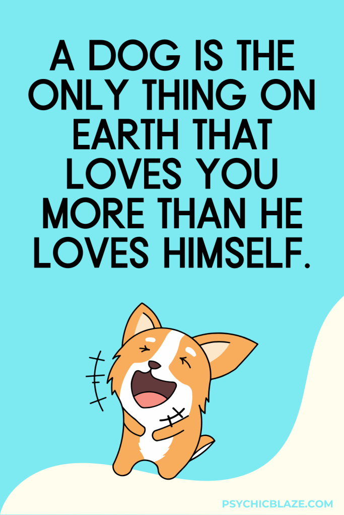 35+ Funny Dog Quotes to Make You Bark with Laughter