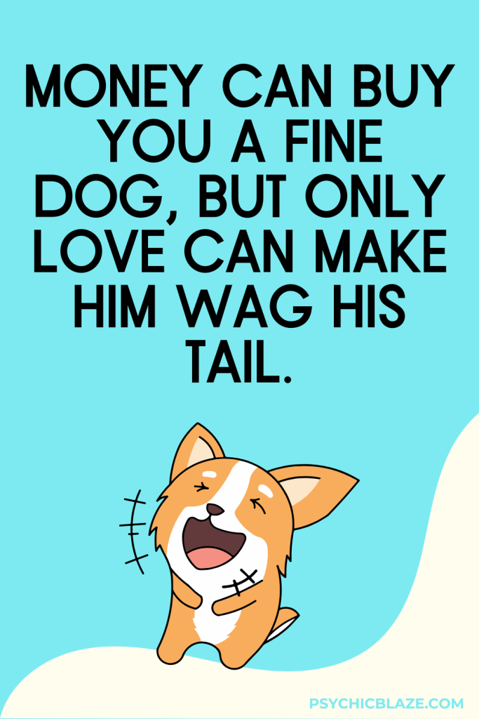 35+ Funny Dog Quotes to Make You Bark with Laughter
