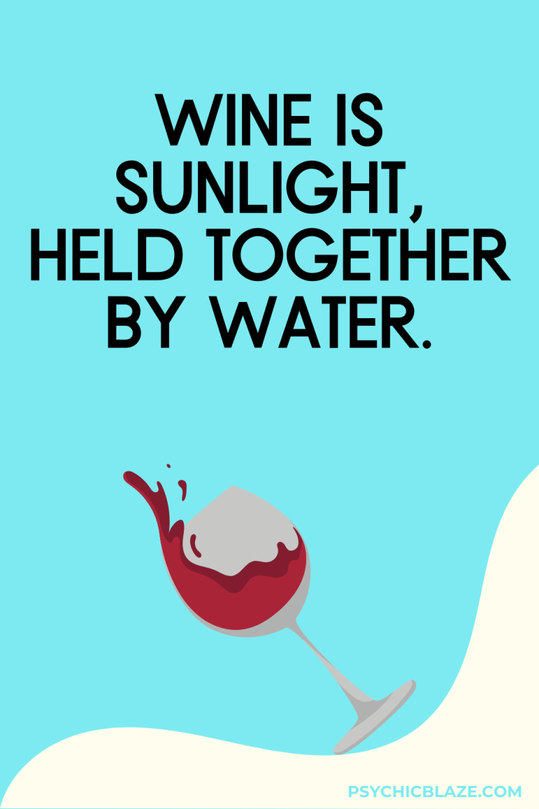 65+ Funny Wine Quotes for Wine Lovers