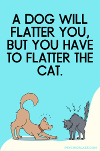 Hilarious Cat Vs. Dog Rivalry Jokes & Quotes