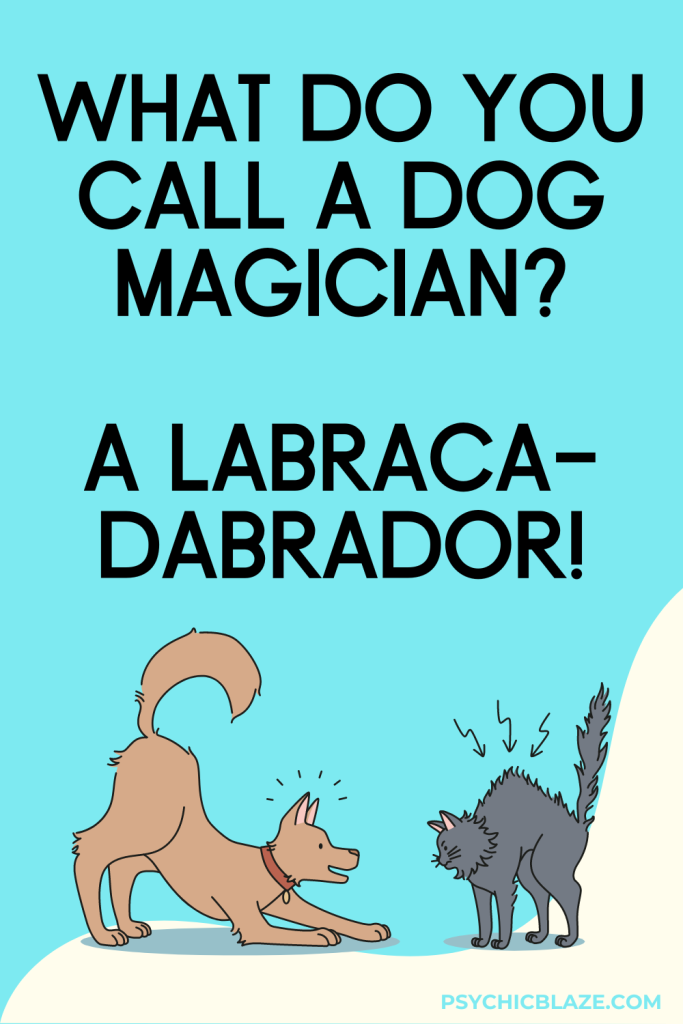 Hilarious Cat Vs. Dog Rivalry Jokes & Quotes