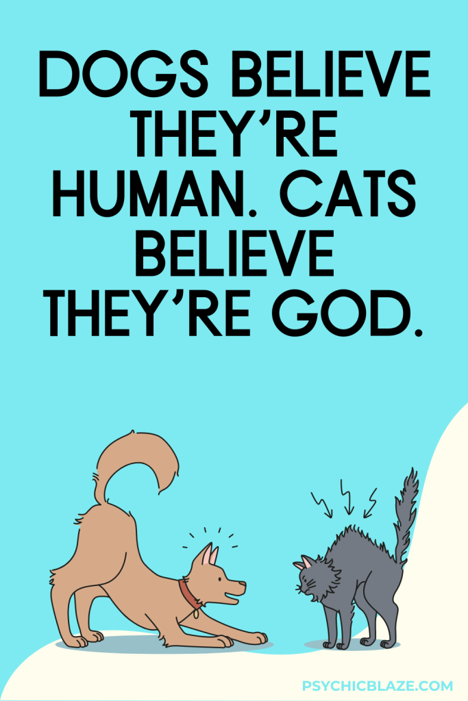 Hilarious Cat Vs. Dog Rivalry Jokes & Quotes