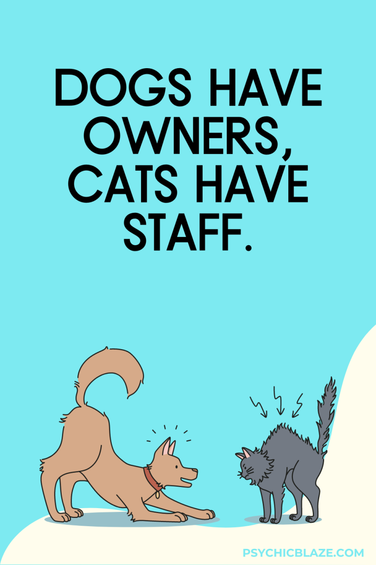 Hilarious Cat Vs. Dog Rivalry Jokes & Quotes