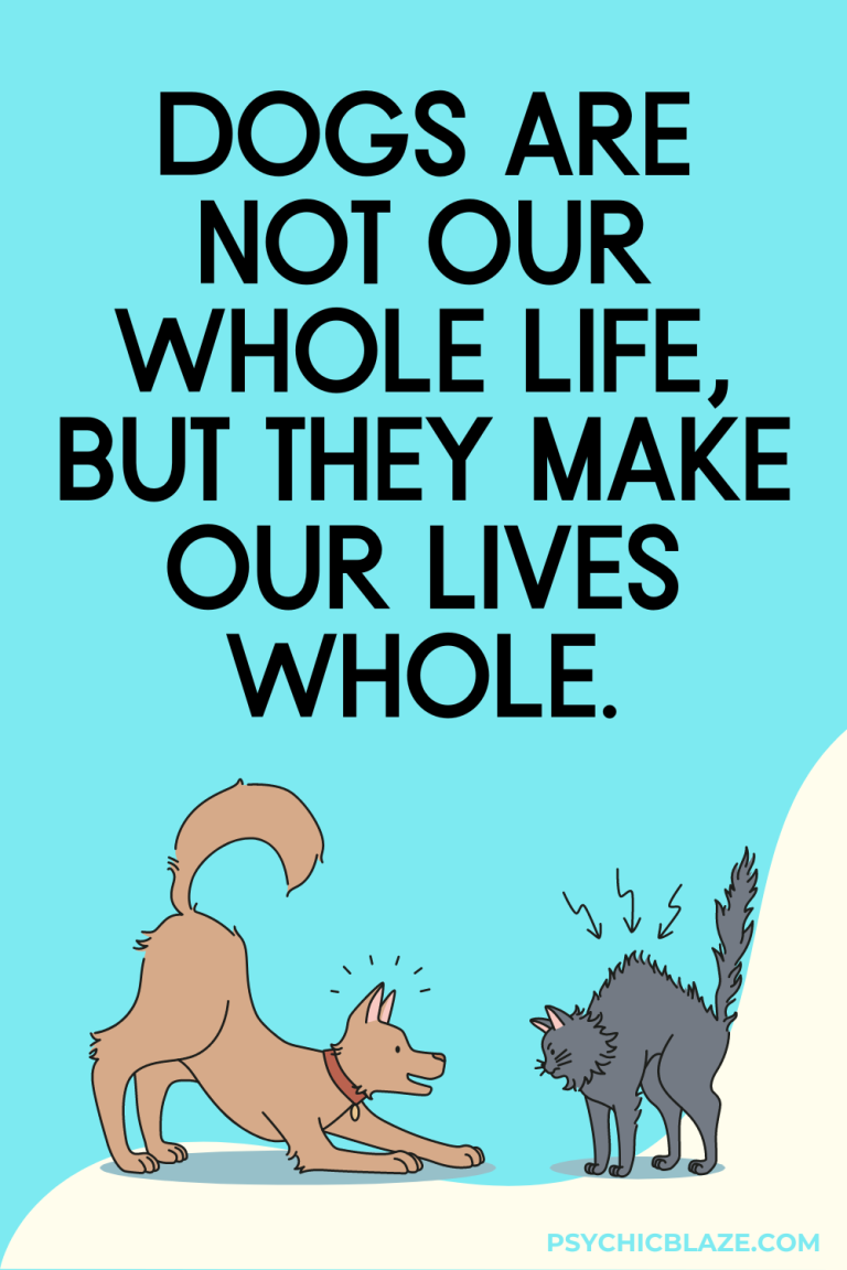 Hilarious Cat Vs. Dog Rivalry Jokes & Quotes