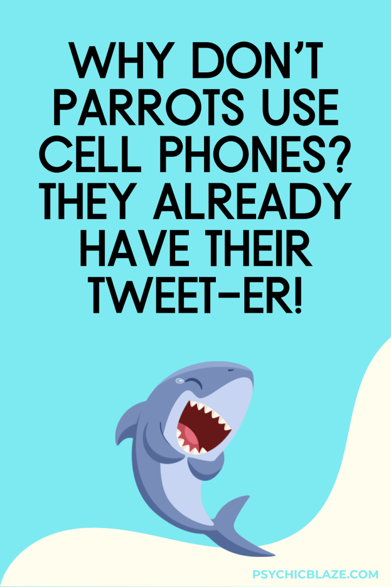 50+ Funny Animal Puns to Make You Laugh Out Loud