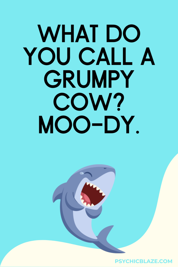 50+ Funny Animal Puns to Make You Laugh Out Loud