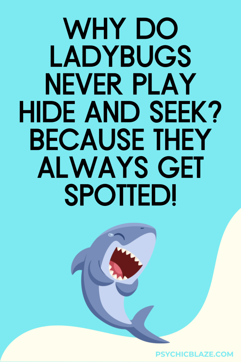 50+ Funny Animal Puns to Make You Laugh Out Loud