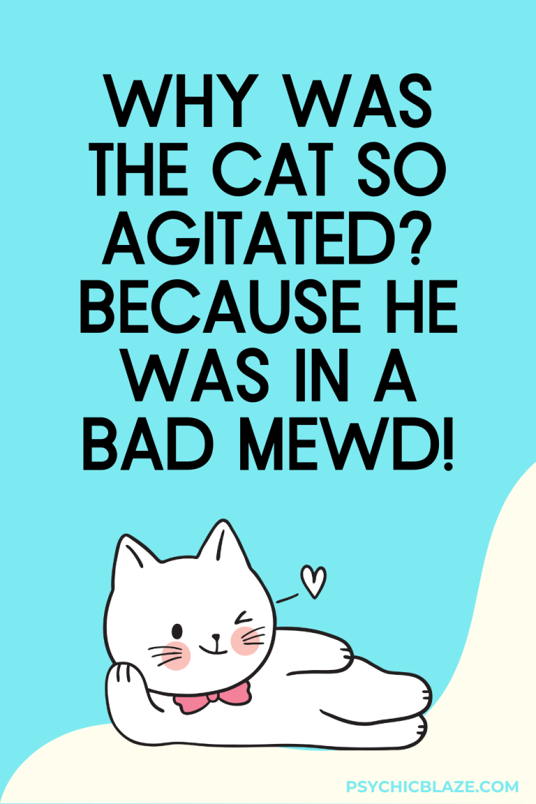 50+ Funny Cat Jokes That Will Have You Purring With Laughter