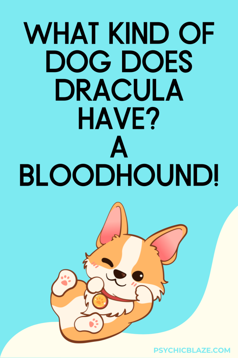 50+ Funny Dog Puns That Are Pawsitively Hilarious