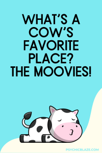 50+ Funny Cow Jokes That Are A-moo-sing