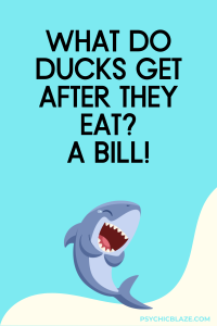 50+ Funny Animal Puns to Make You Laugh Out Loud