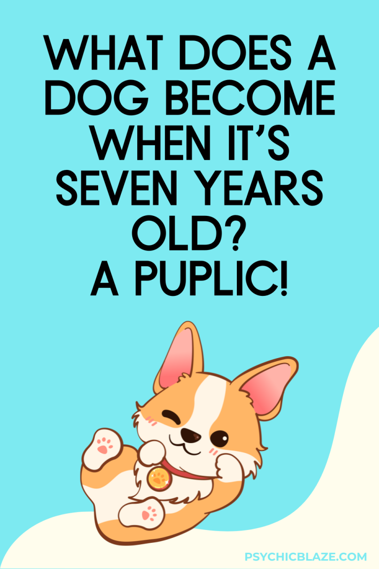 50+ Funny Dog Puns That Are Pawsitively Hilarious