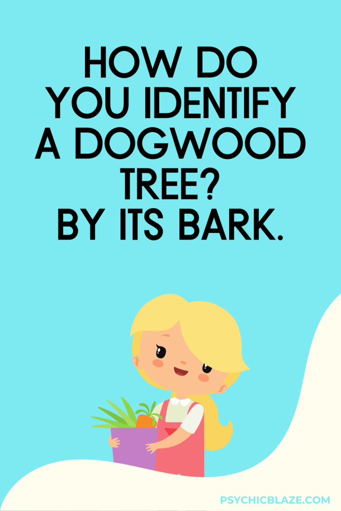 50+ Funny Gardening Puns and Jokes You'll Dig