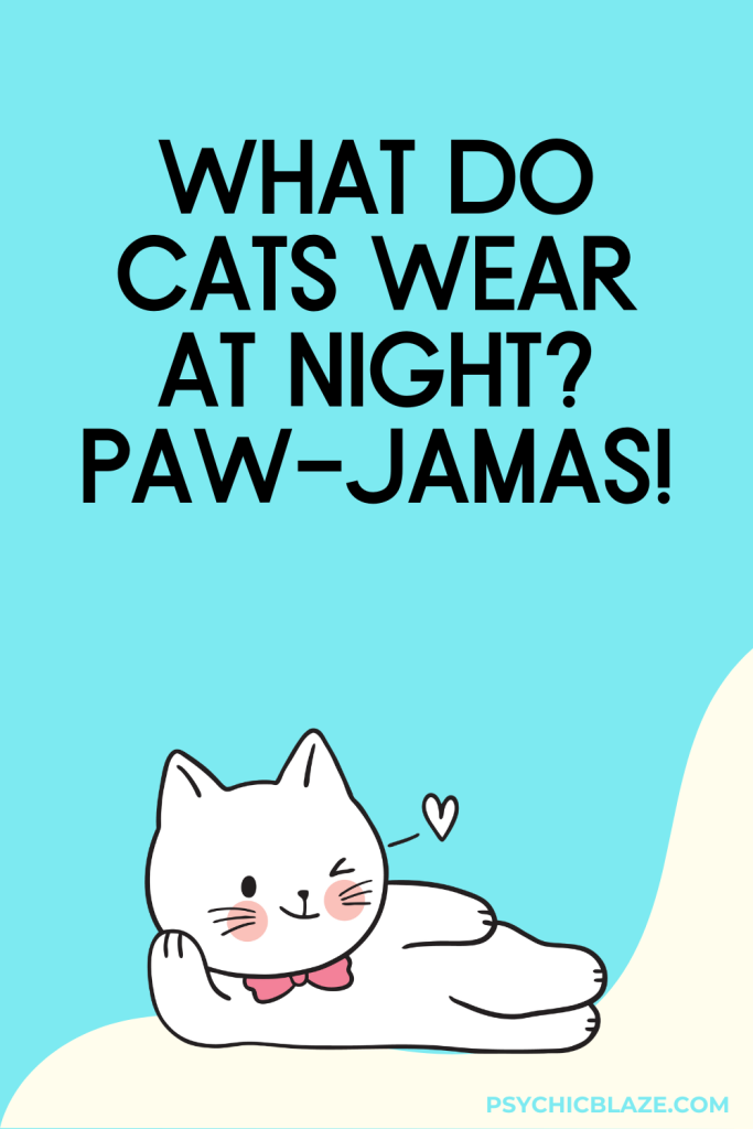 50+ Funny Cat Jokes That Will Have You Purring With Laughter