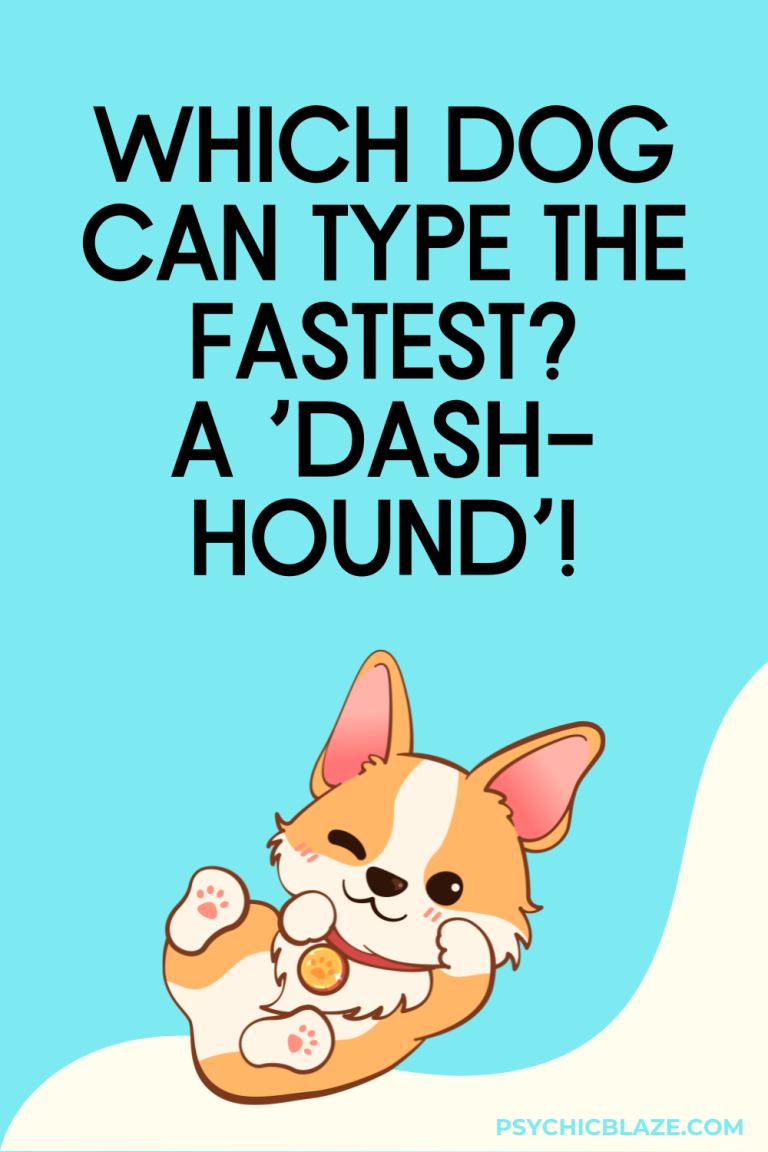 50+ Funny Dog Puns That Are Pawsitively Hilarious