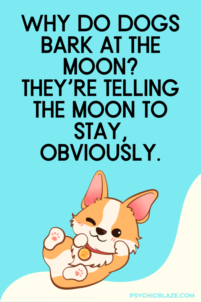 50+ Funny Dog Puns That Are Pawsitively Hilarious