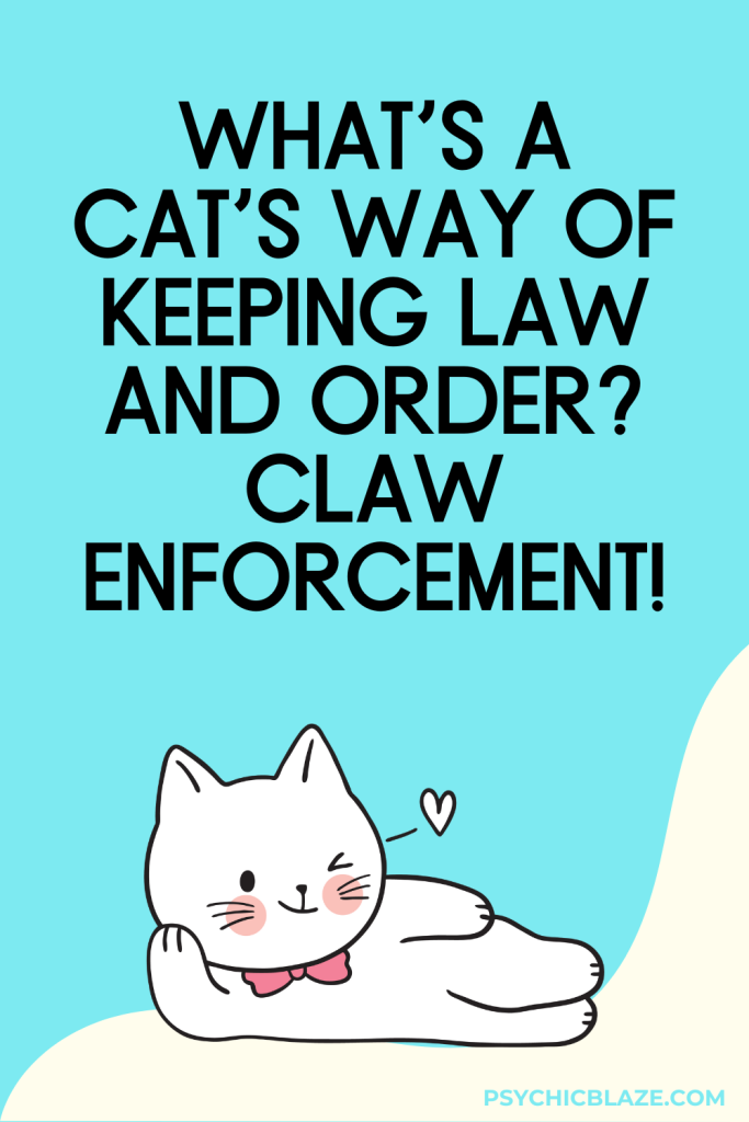 50+ Funny Cat Jokes That Will Have You Purring With Laughter