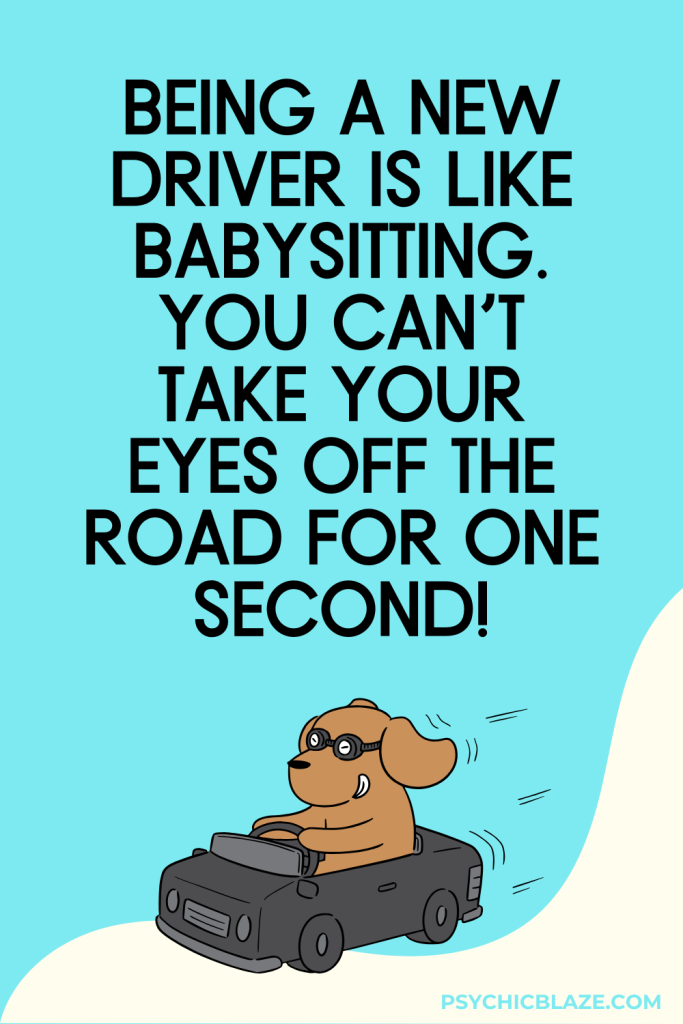 50+ Funny Car Owner Quotes for Every Road Warrior