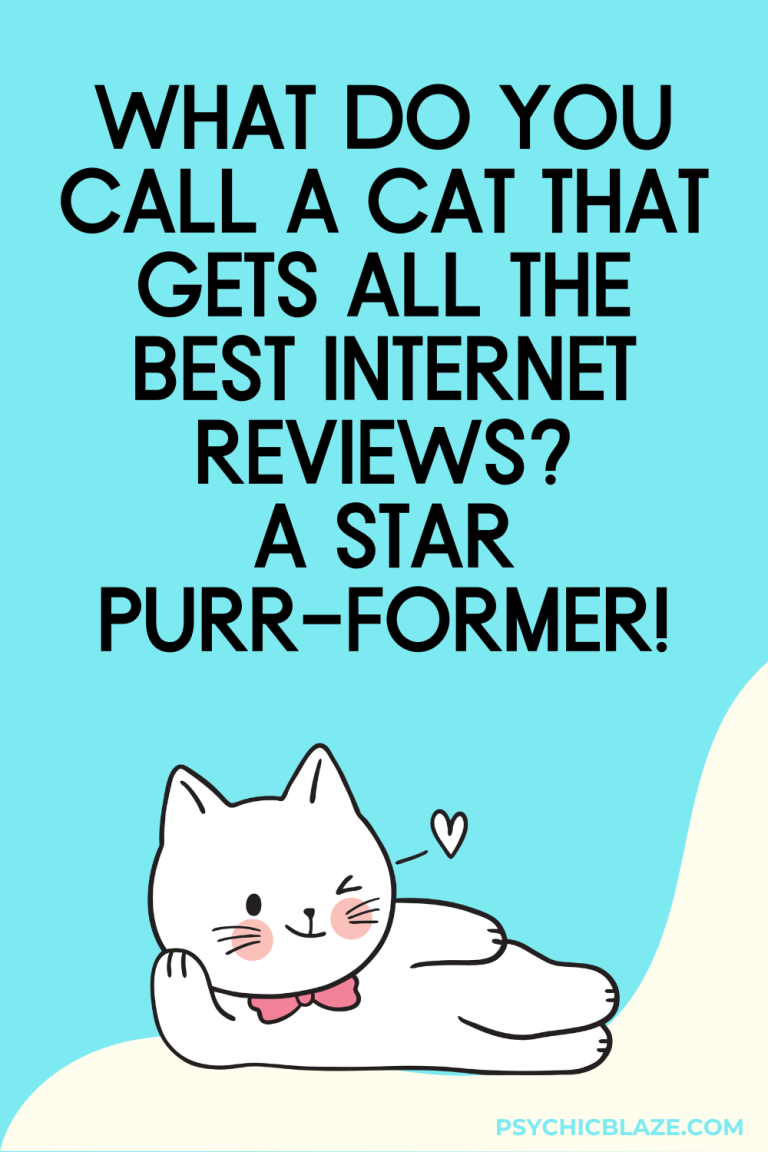 50+ Funny Cat Jokes That Will Have You Purring With Laughter