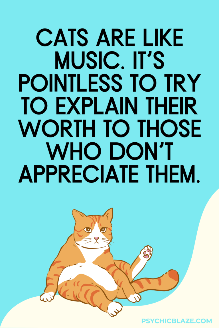 50+ Funny Cat Quotes to Brighten Your Day