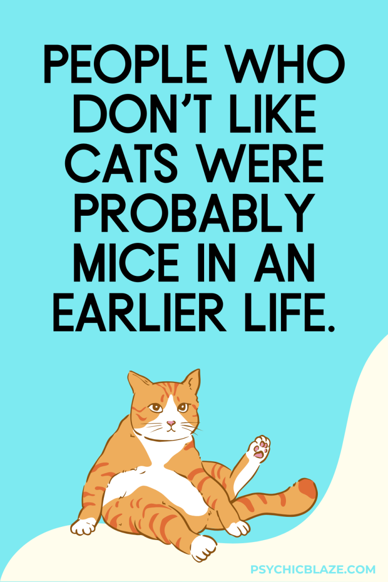 50+ Funny Cat Quotes to Brighten Your Day