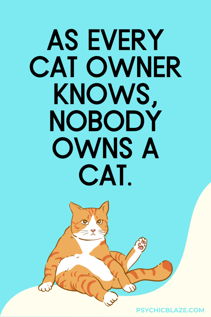 50+ Funny Cat Quotes to Brighten Your Day