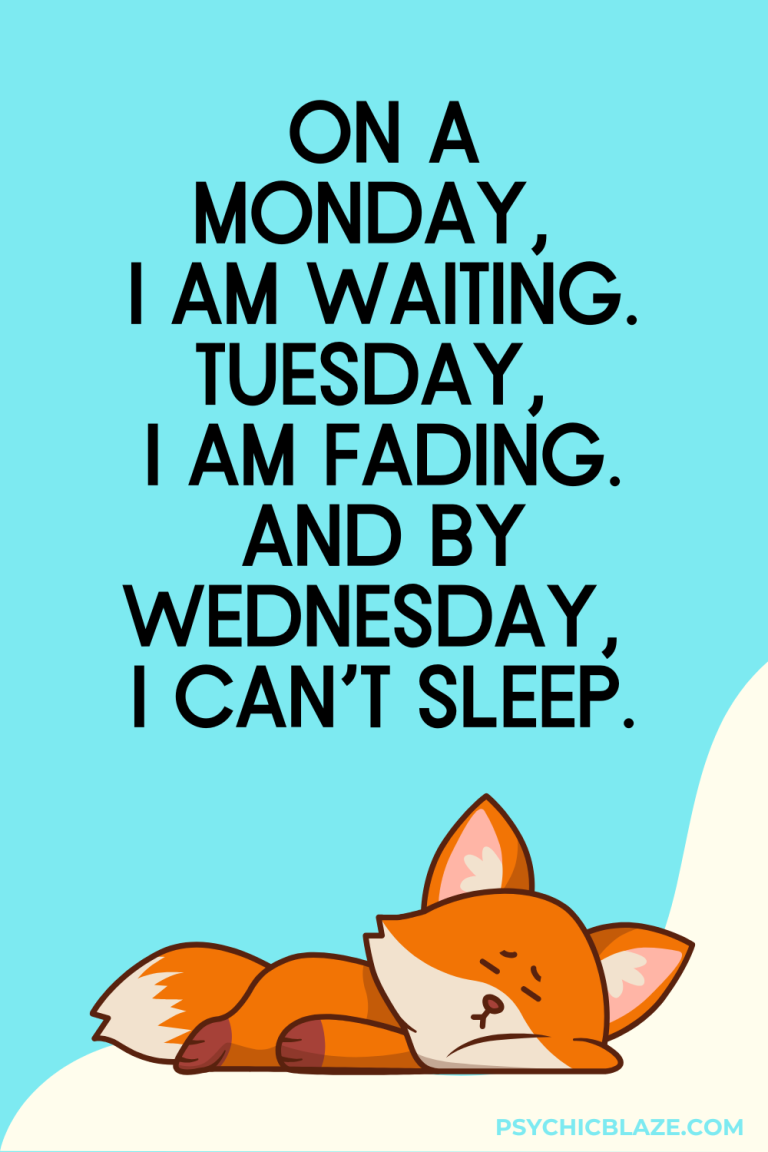 50+ Funny Monday Quotes To Help You Get Through The Day