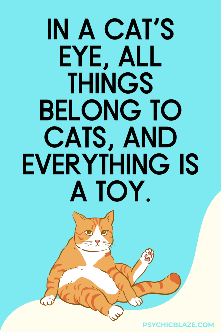50+ Funny Cat Quotes to Brighten Your Day